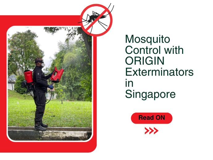 Mosquito Control with ORIGIN Exterminators in Singapore
